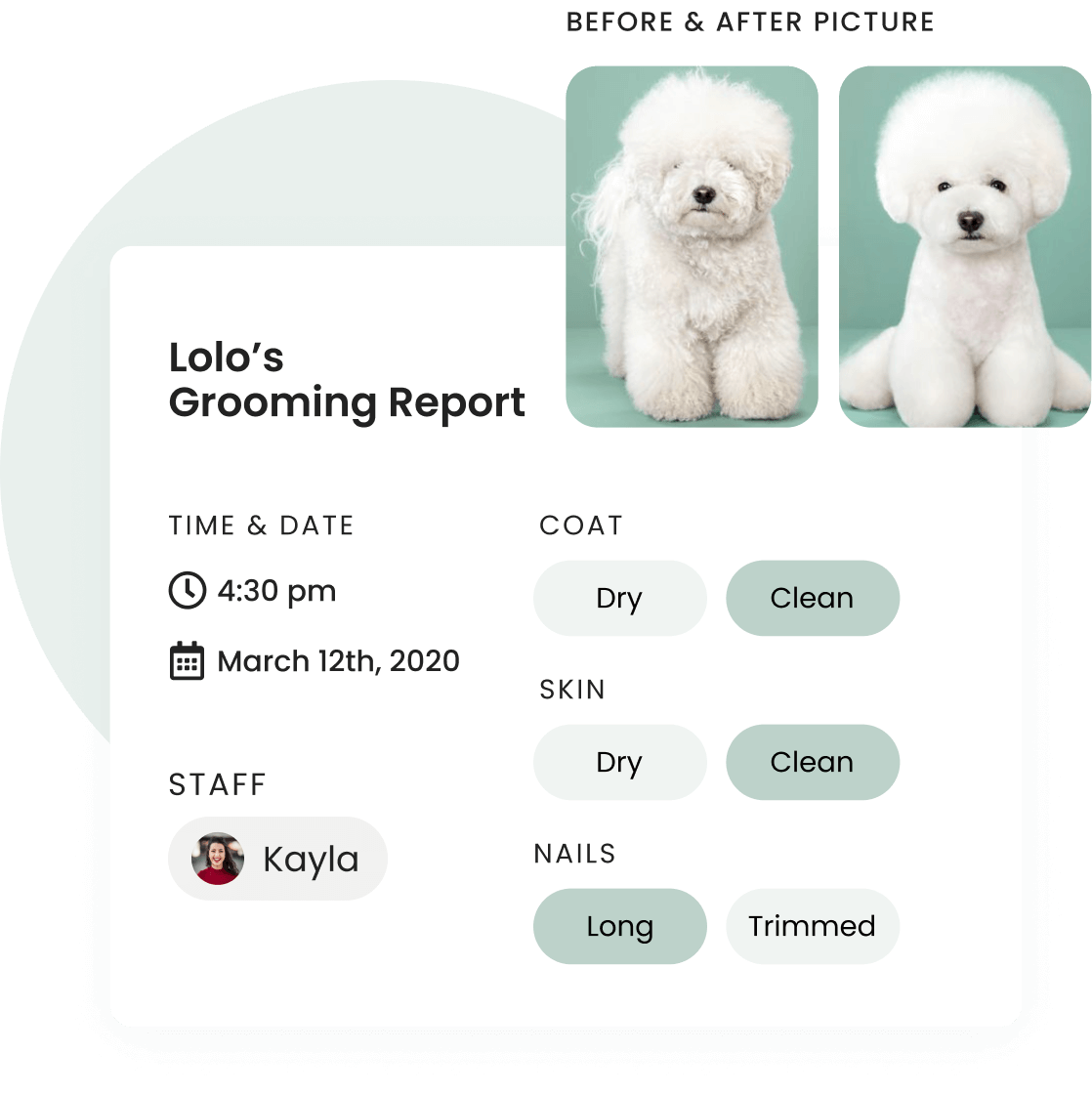 Cuddles: Your New Grooming Software - Sign up for free today!